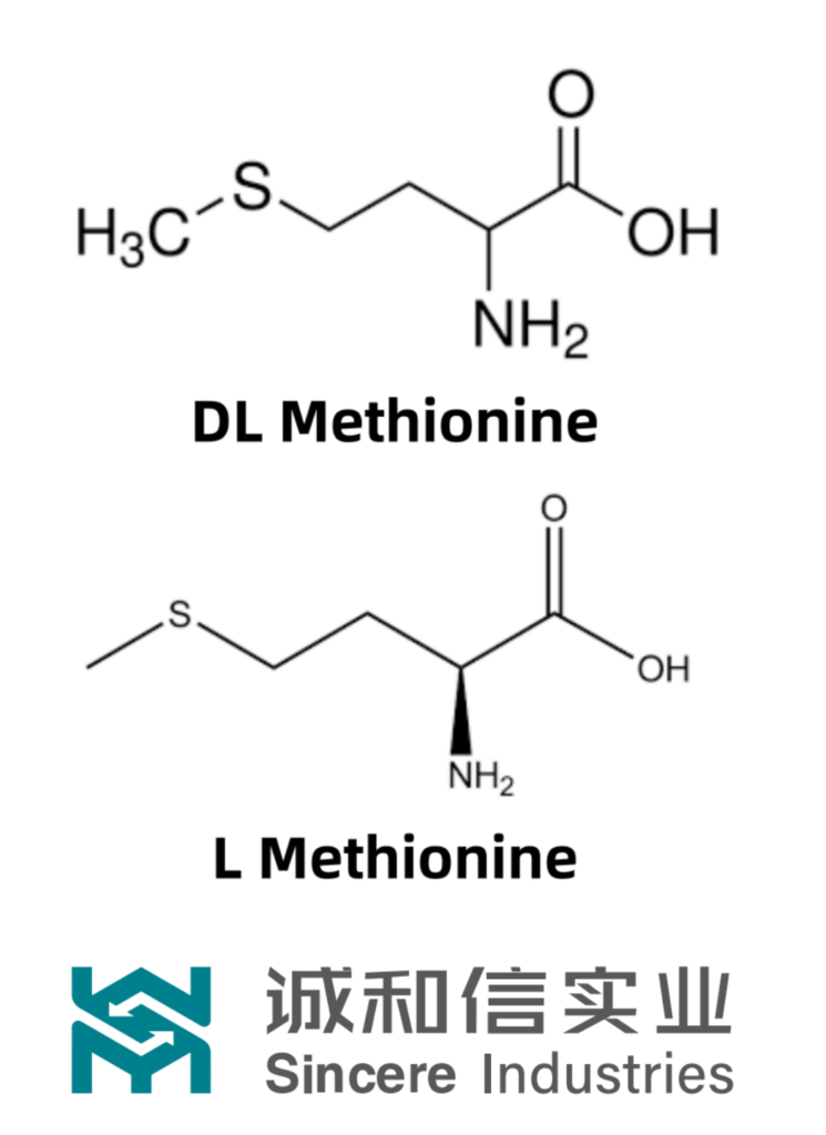 L-Methionine and DL-Methionine: The Building Blocks of Protein ...