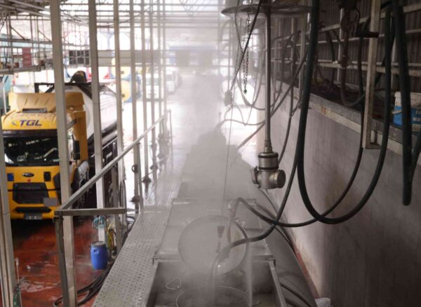 Tall Oil Fatty Acid (TOFA)